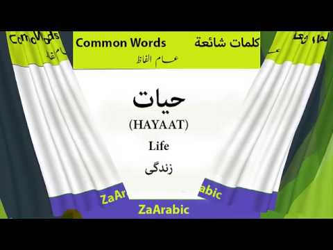 Life in Arabic Language|Hayaat| حیات - YouTube