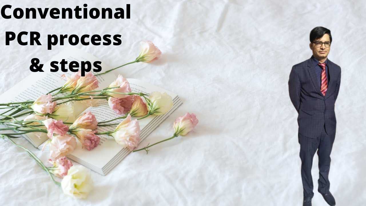 Conventional PCR steps and Process for beginners - YouTube