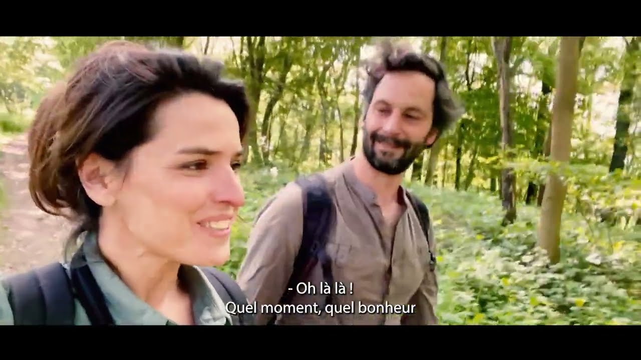 Raconteuse de nature : A la rencontre du goupil - YouTube