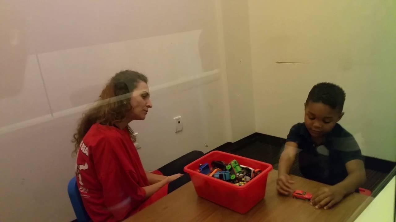 Response interruption and Redirection Study for autism vocal stereotypy ...