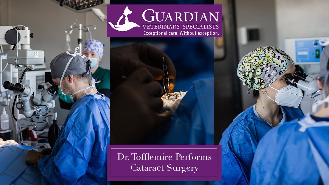 Episode 55: Dr. Tofflemire Performs Cataract Surgery - YouTube