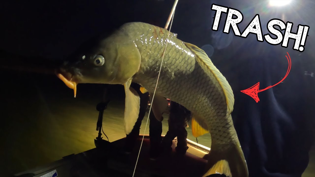 Bowfishing For Invasive TRASH Fish On Lake Travis! - YouTube