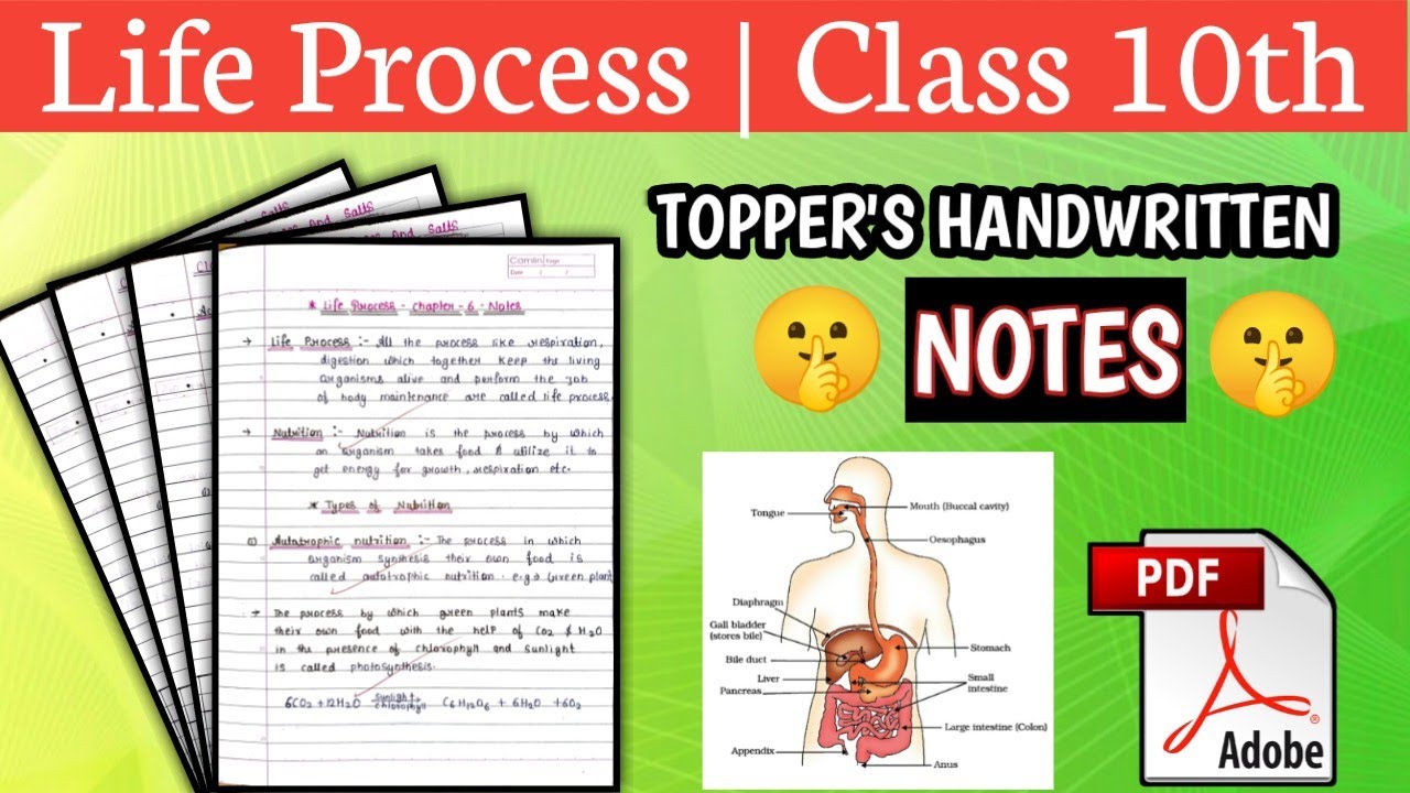 Life Process Notes Class 10th | NCERT Science Chapter 6 Biology | # ...