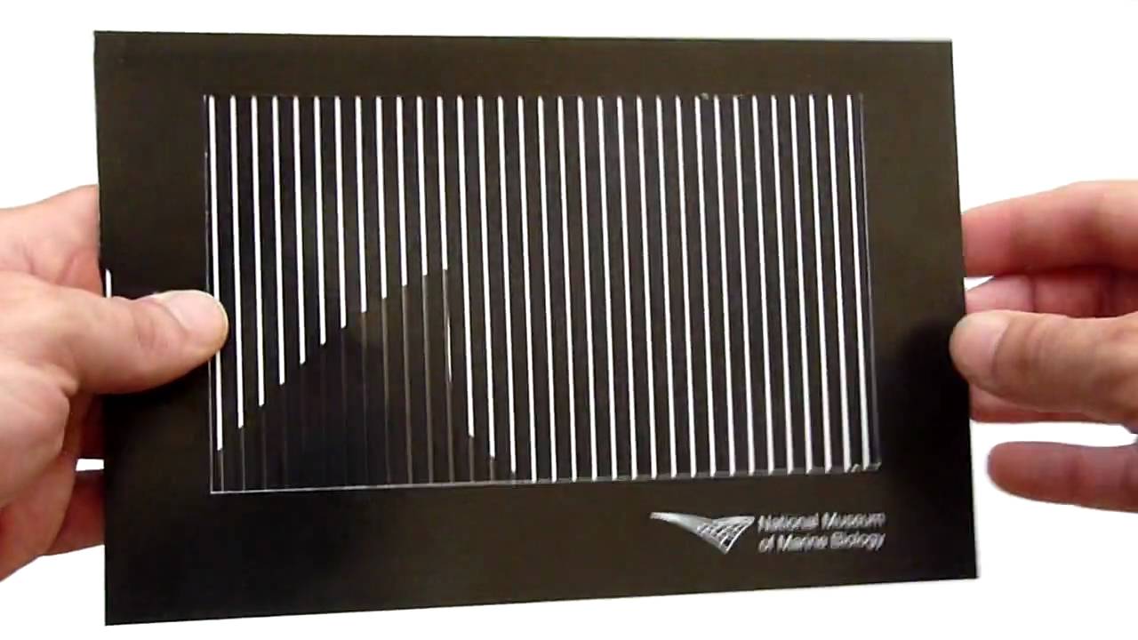 animated postcards series - YouTube