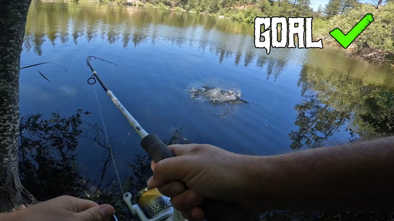 Lunch Break Fishing Gone RIGHT! - YouTube