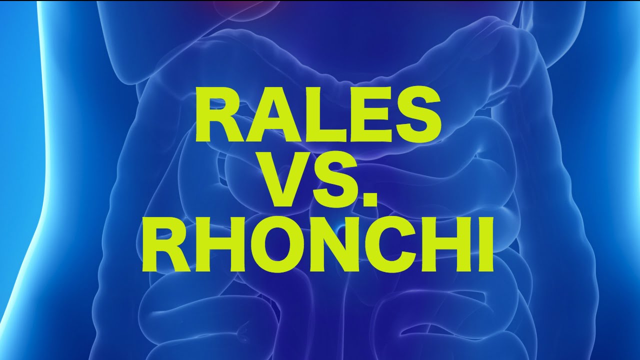 Rales vs. Rhonchi || USMLE - YouTube