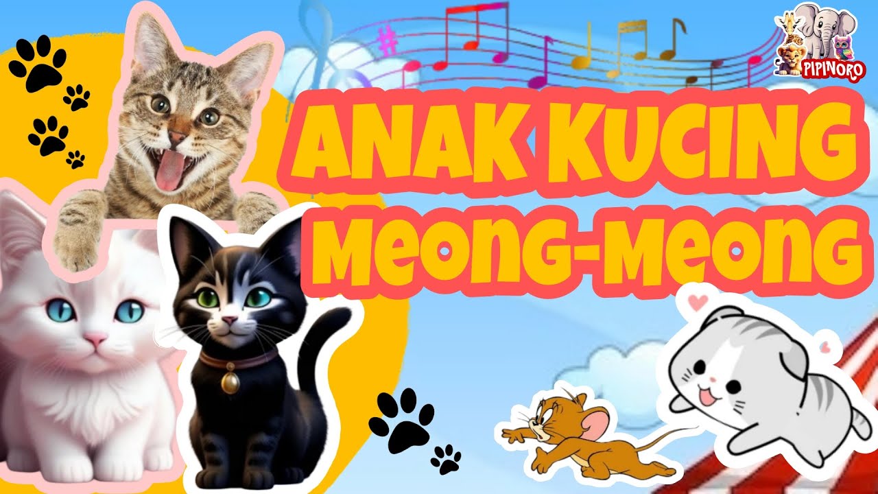LAGU ANAK KUCING MEONG-MEONG || LAGU ANAK LUCU || LAGU BALITA || LAGU ...