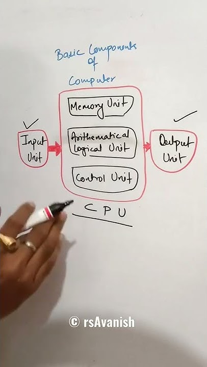 Basic Components Of Computer Shorts Trending Computers Computerbasics Youtube