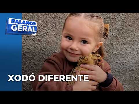 Menina de 3 anos tem um xodó \