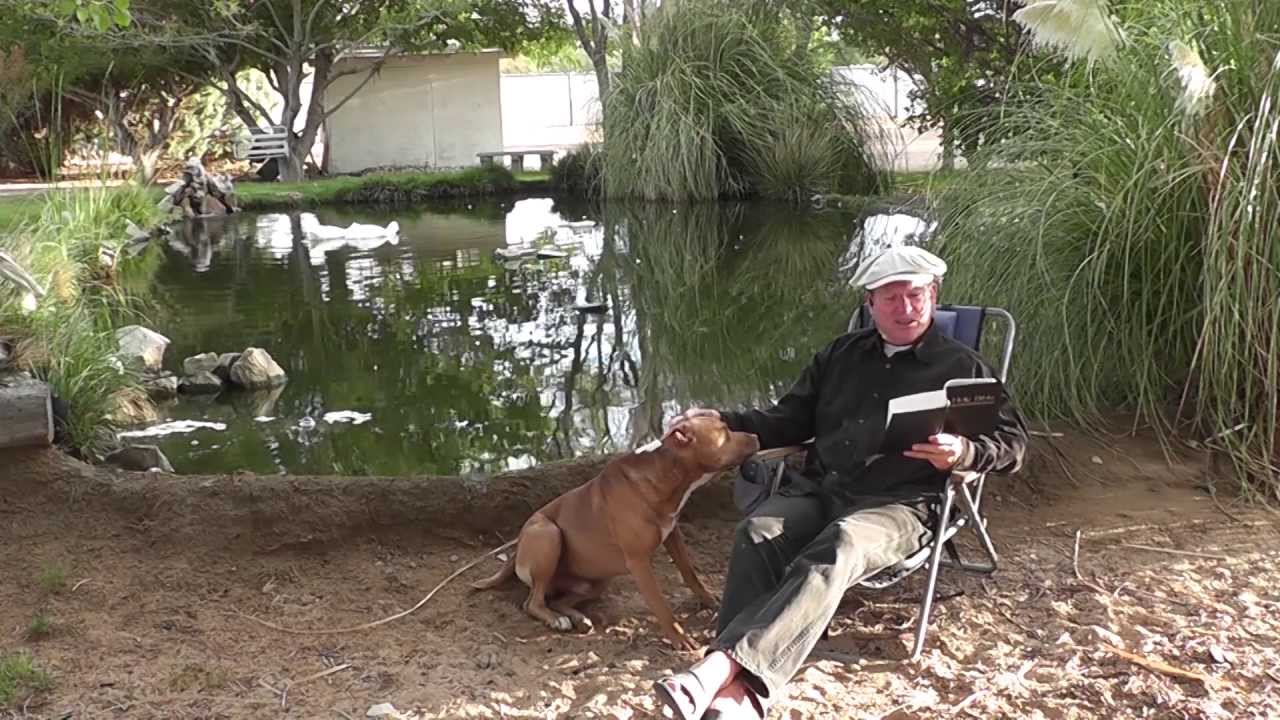 Genesis 48 YouTube genesis-48-youtube