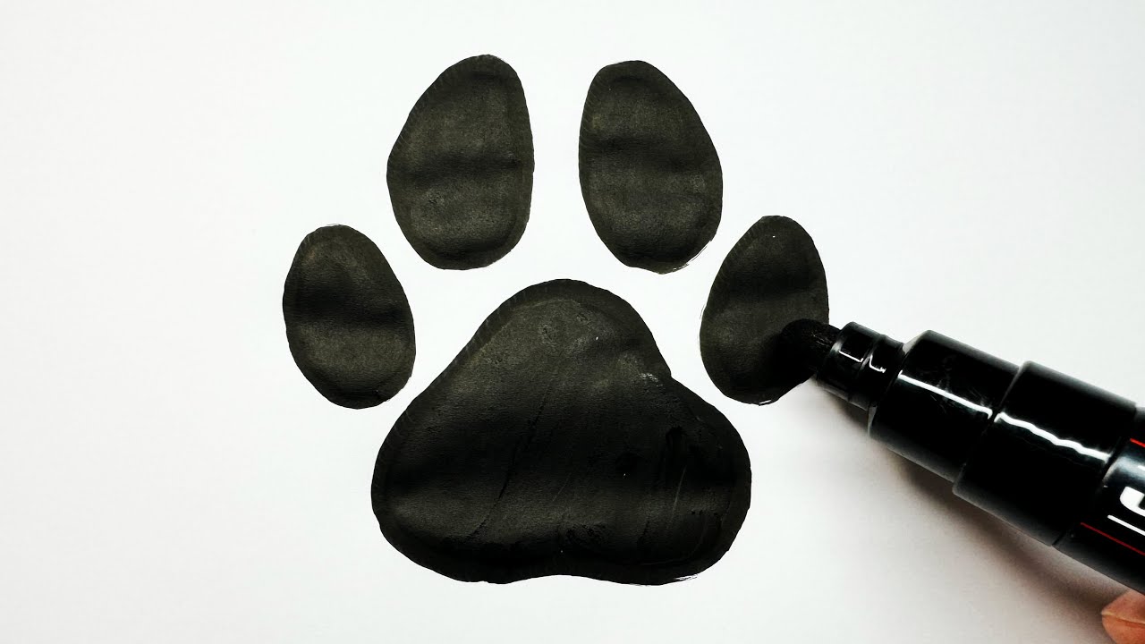 How to Draw a Dog Paw - YouTube