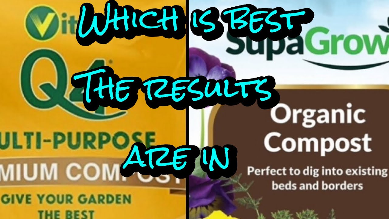 Testing 2 different compost - peat based and peat free - YouTube