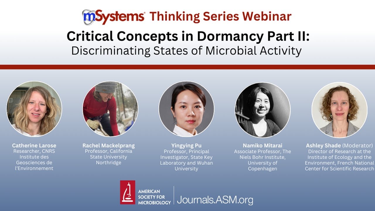 Critical Concepts in Dormancy Part II: Discriminating States of ...