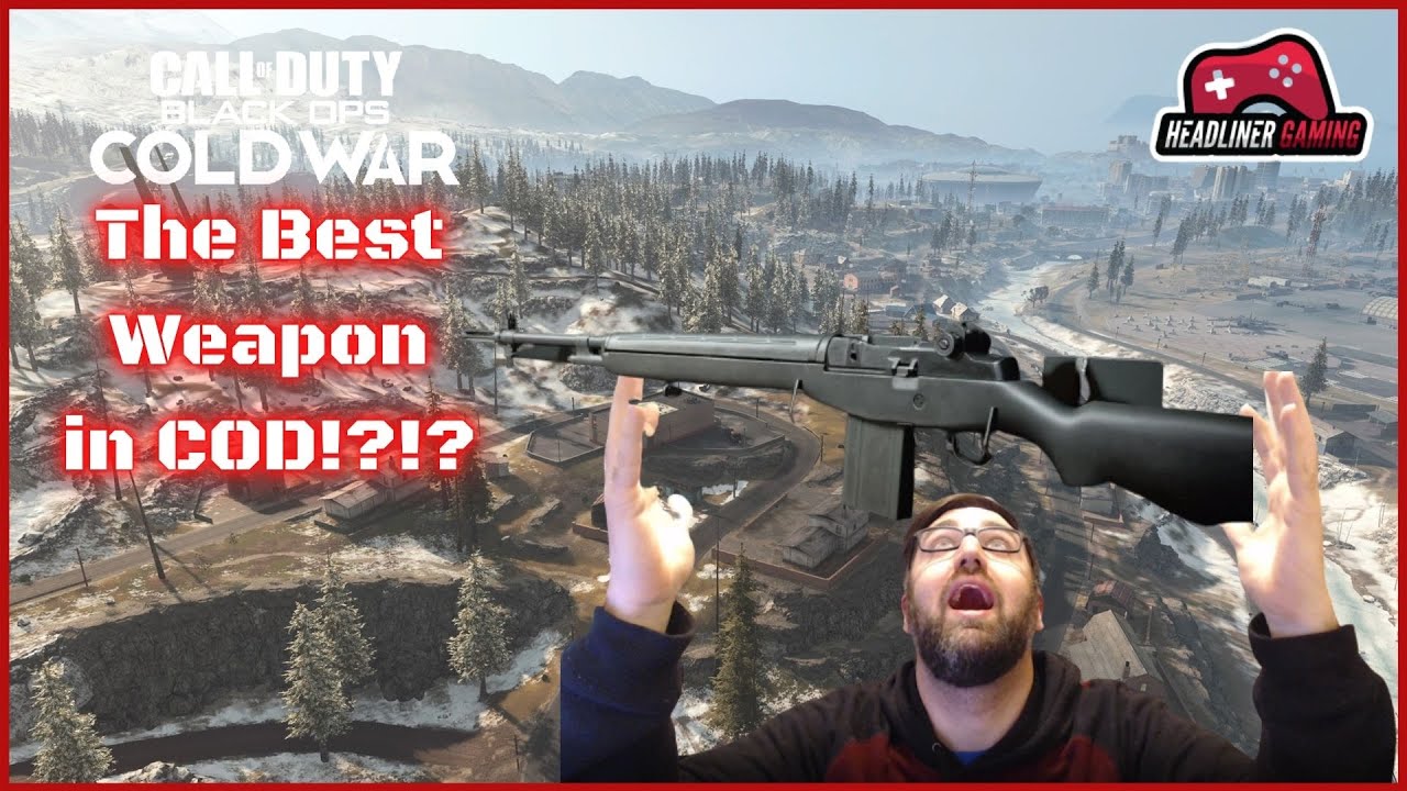Call of Duty Black Ops Cold War & Warzone - New DMR 14 Meta - The Best ...