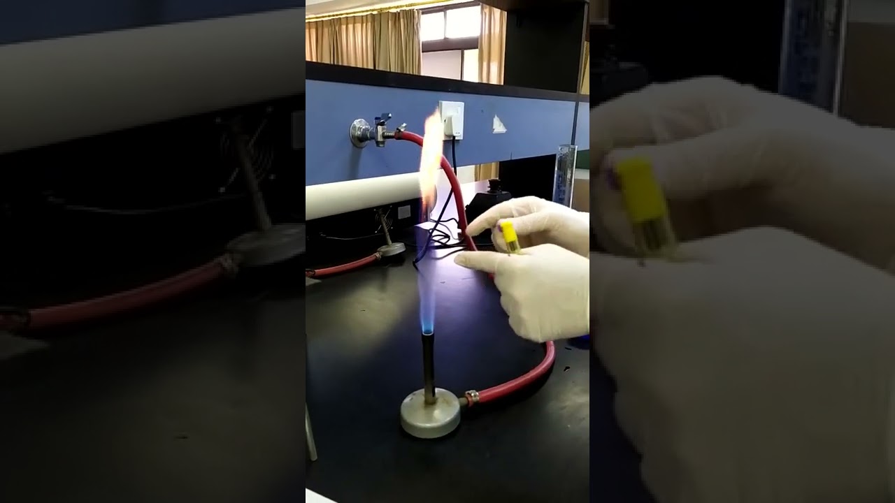 Lab Micro - Exp 1 Preparation of Agar Part 1 - YouTube