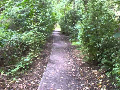 Fiffes Quarry. Scenic Reserve, Timaru. - YouTube