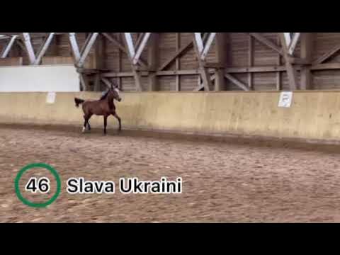 Varsahuutokauppa 2023 | 46 Slava Ukraini - YouTube