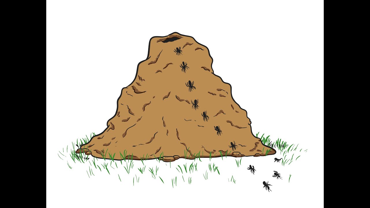 How to Draw ANT HILL - YouTube