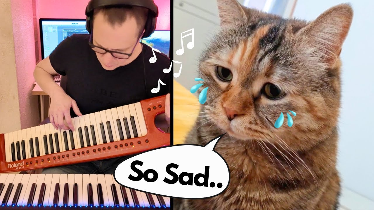 Cat's Heartbreaking Song: The Saddest Meow Ever (Singing Cat) - YouTube