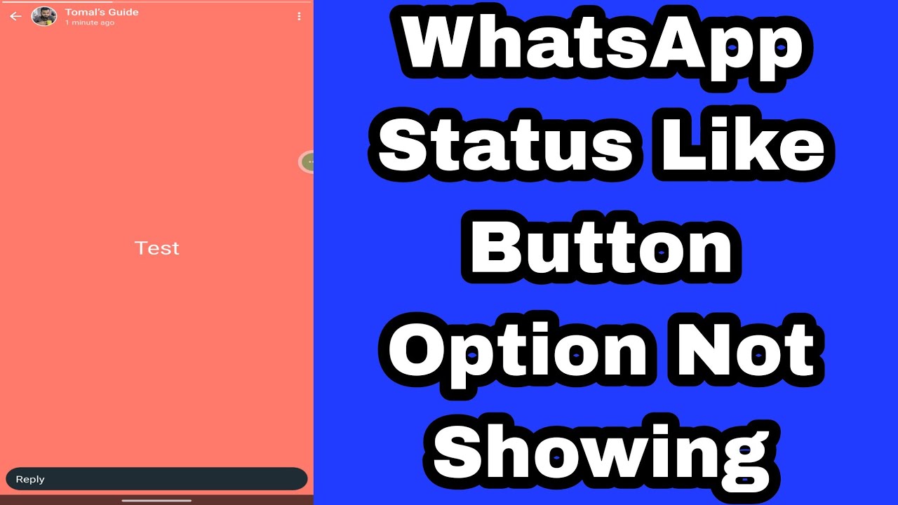 WhatsApp Status Like Option New Update | WhatsApp Status Like Button ...