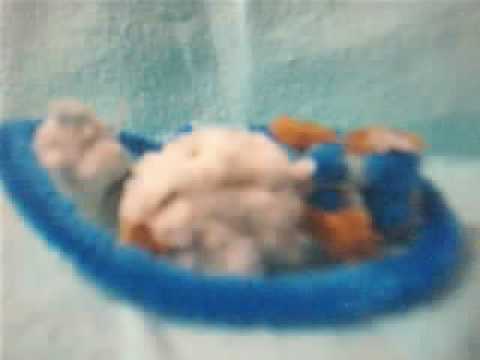 Transformers Revenge Of The Fallen Pipe Cleaners - YouTube