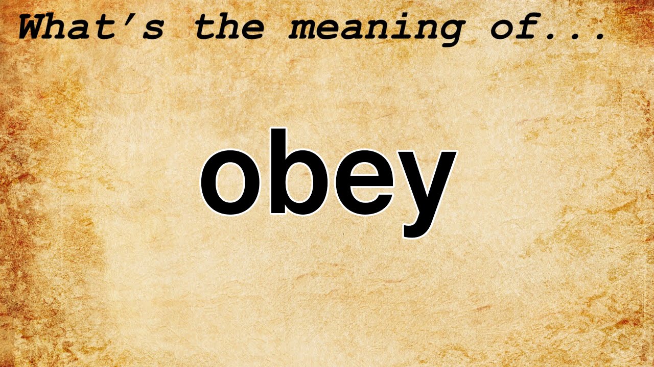 Obey Meaning Definition Of Obey YouTube Obey Meaning Definition Of Obey YouTube
