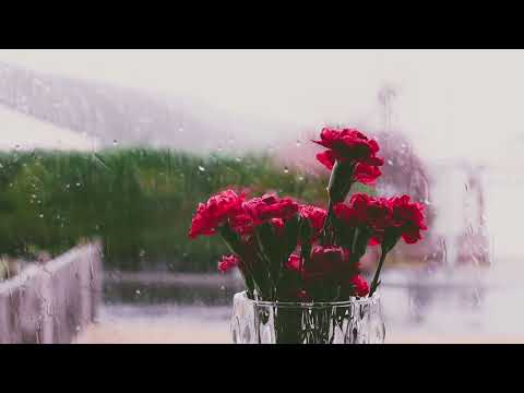 Beautiful Nature scenery| Relaxing Peaceful Smoothing Music | Birds Sound