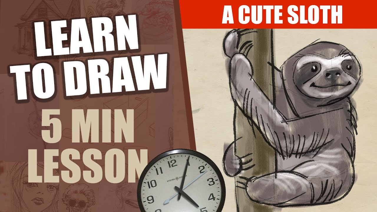 How to draw a cute sloth easy step by step - YouTube