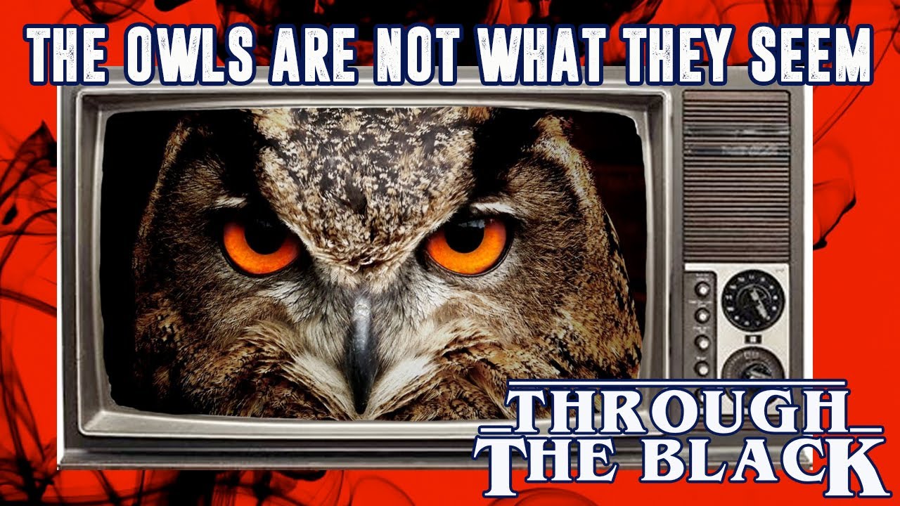 Owls Are Not What They Seem - YouTube