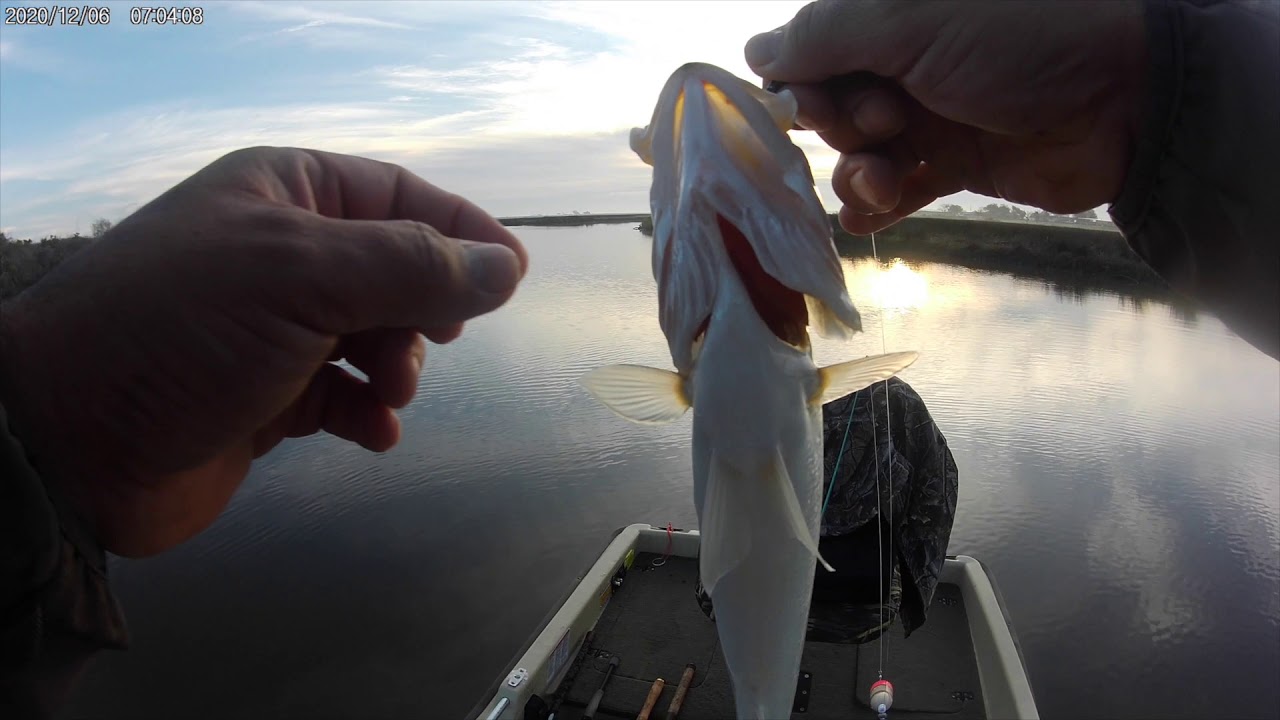 Port Lavaca Fishing - YouTube