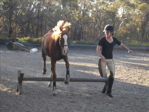 itsanobssesion.wmv