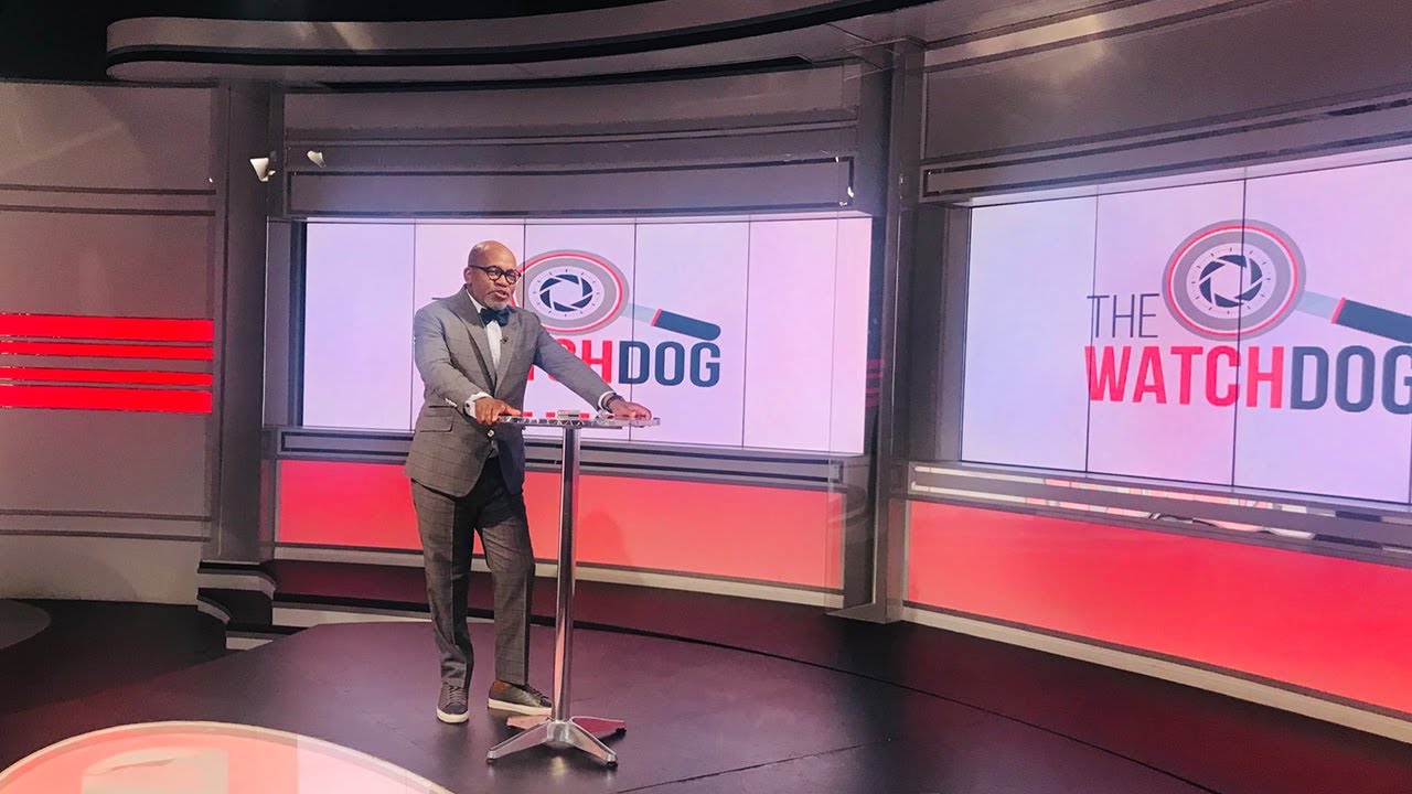 The Watchdog | 07 December 2021 - YouTube