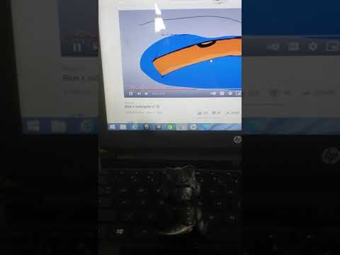 the indoraptor hates indoraptor x blue