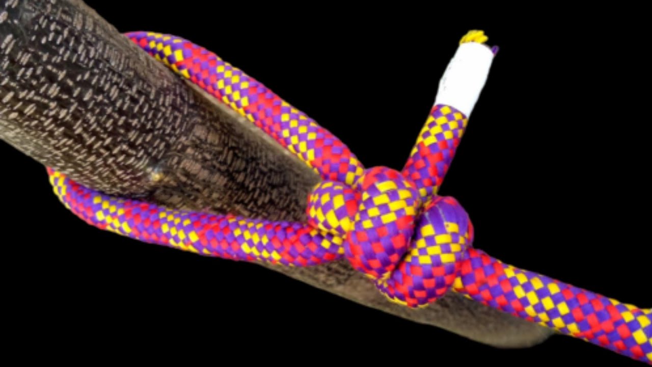 MUST LEARN ! How To Tie A Loop Knot Around The Object #knots #loopknot ...