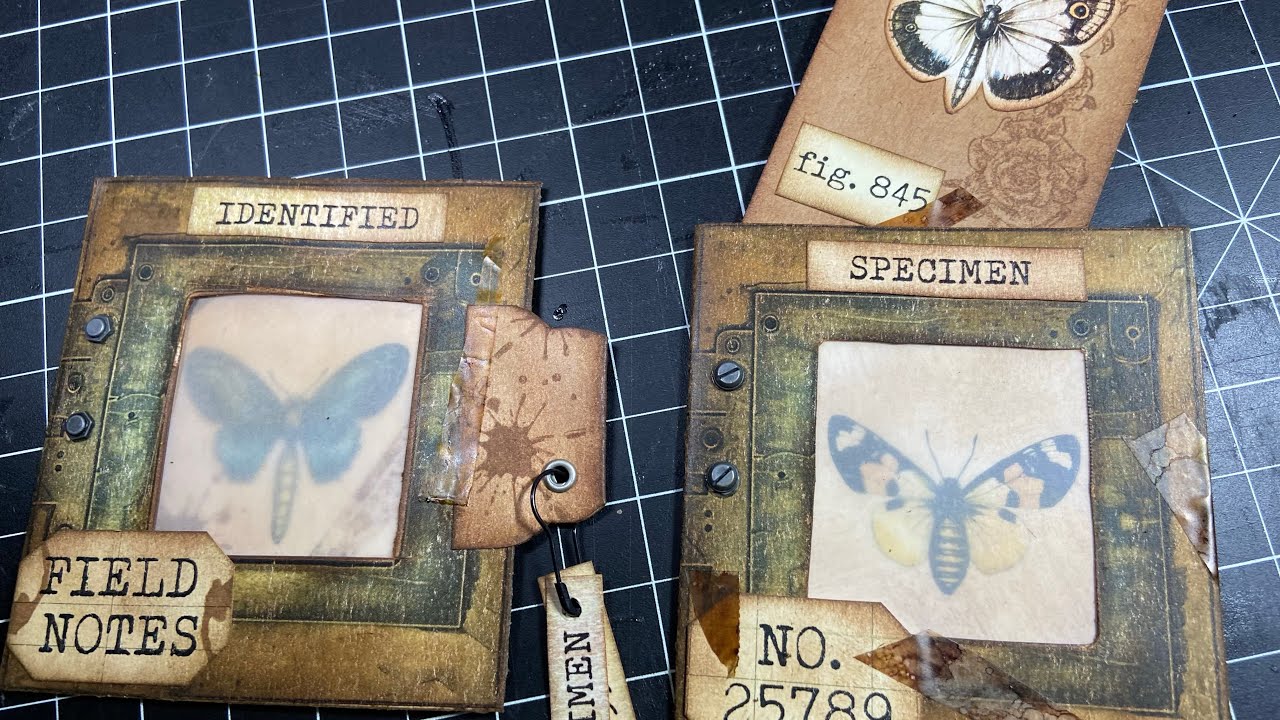 The Easiest Specimen Cards To Create Digitals from Christina - YouTube
