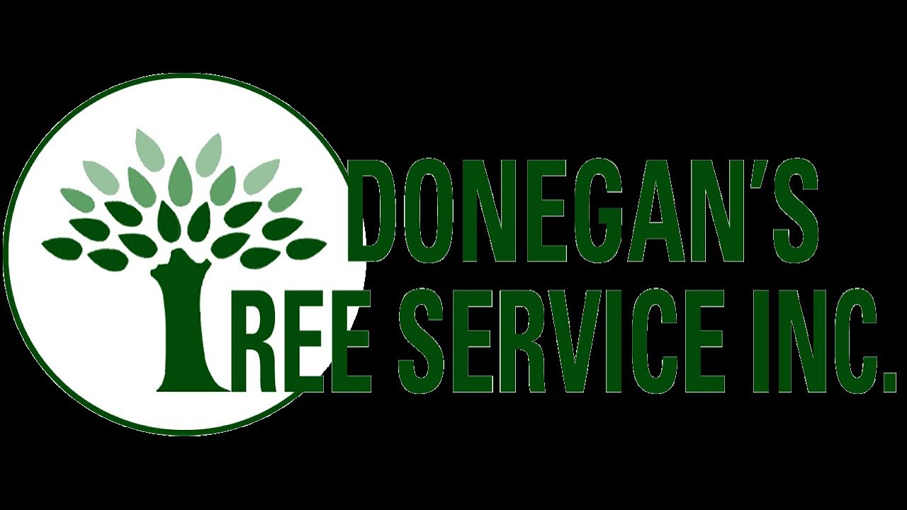 Donegan Tree Service Inc. - YouTube