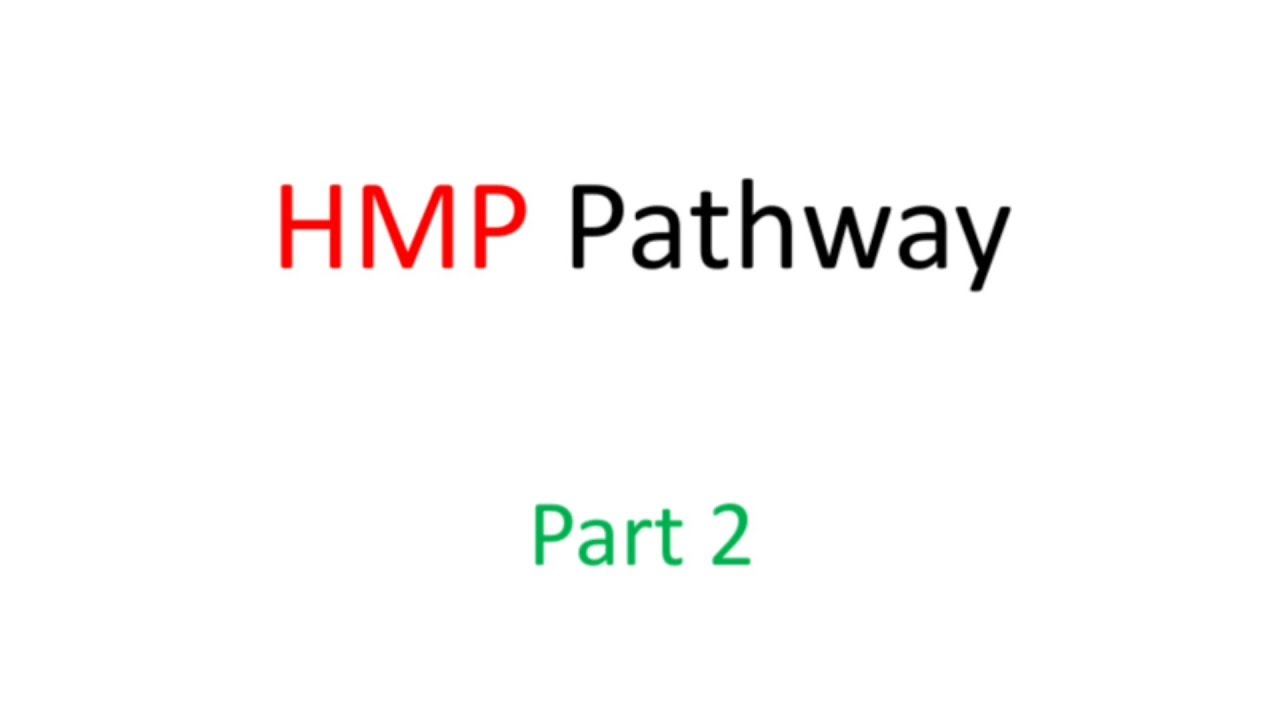 HMP PART 2 : Reactions of HMP pathway ll Significance of Oxidative ...