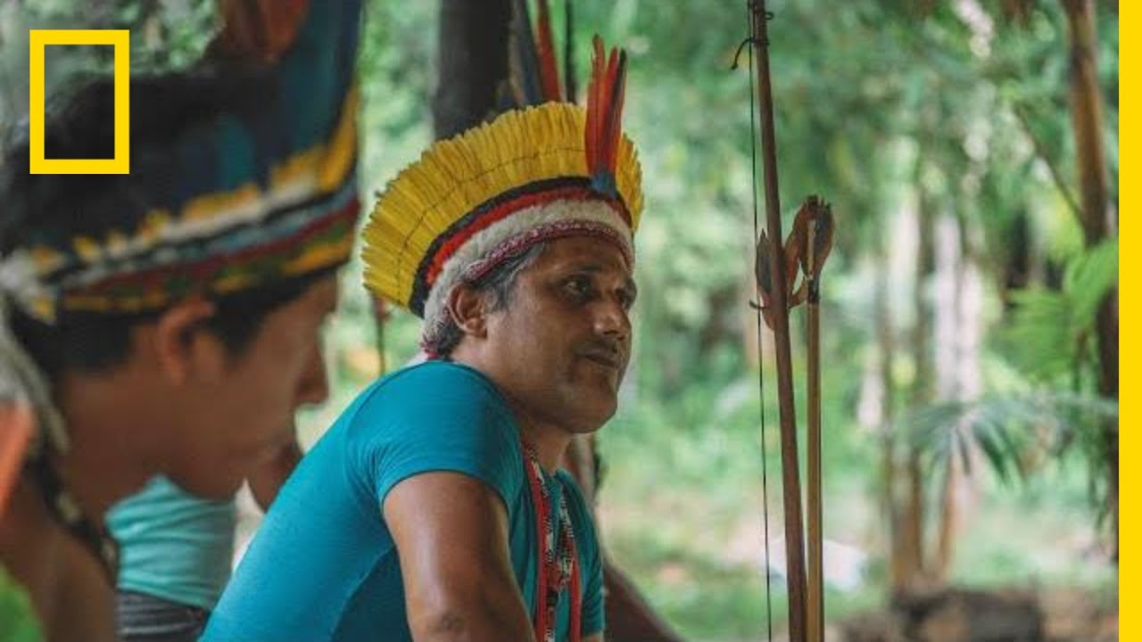 Can Cell Phones Help Save Rain Forests? This Tribe Thinks So | Short ...