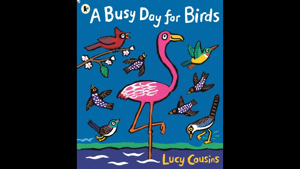 A Busy Day for Birds - YouTube