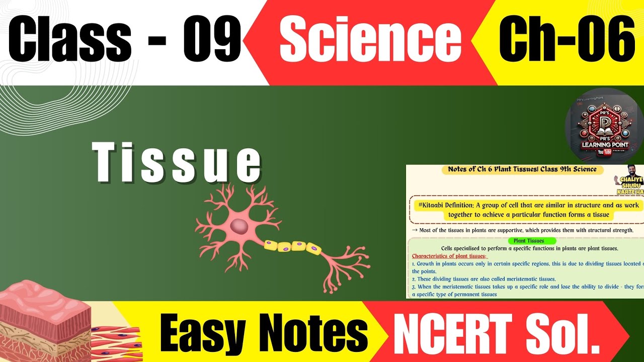 Class 9 Science Chapter 6 | Tissue | Easy Notes + NCERT Solutions | PR ...