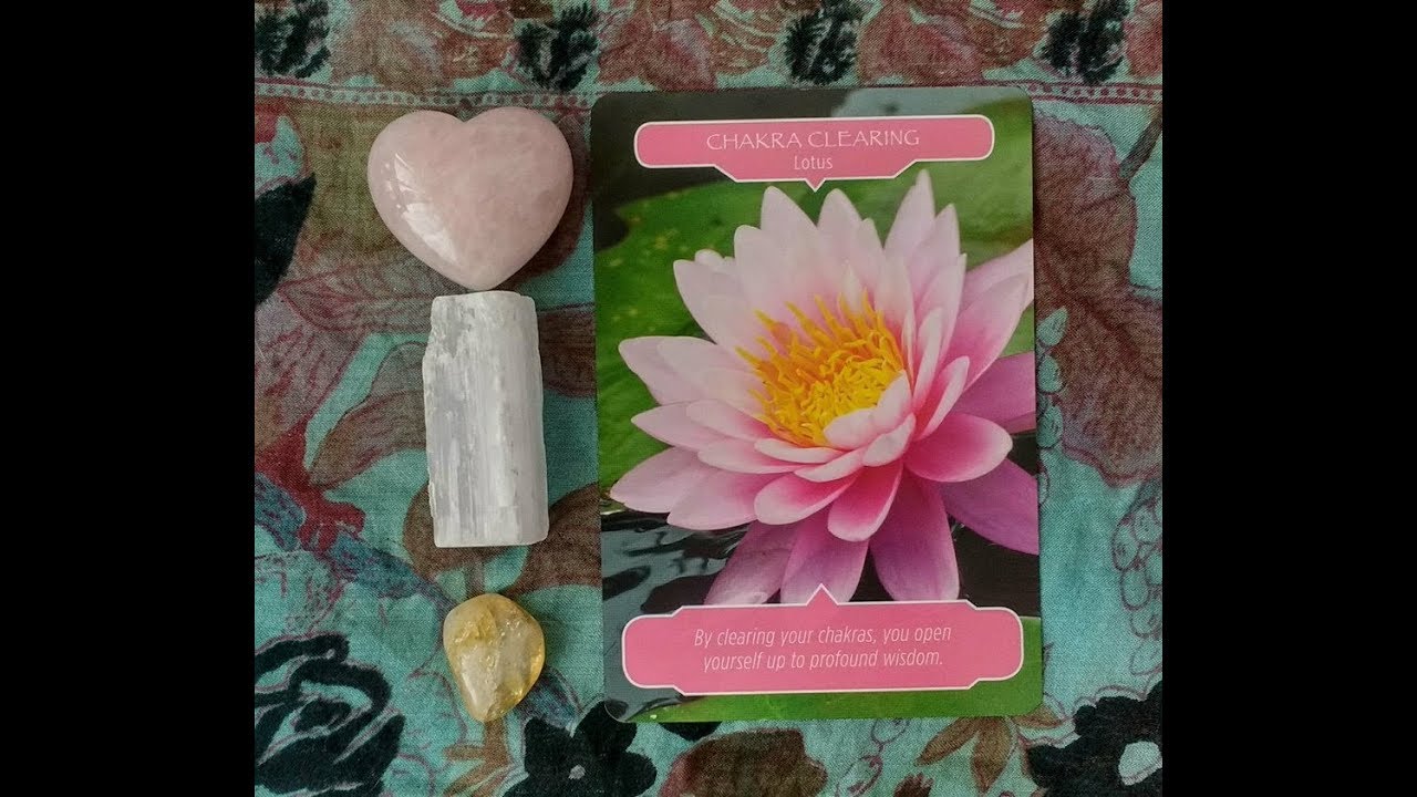 Daily Oracle Card Reading 22nd May Chakra clearing lotus flower therapy ...