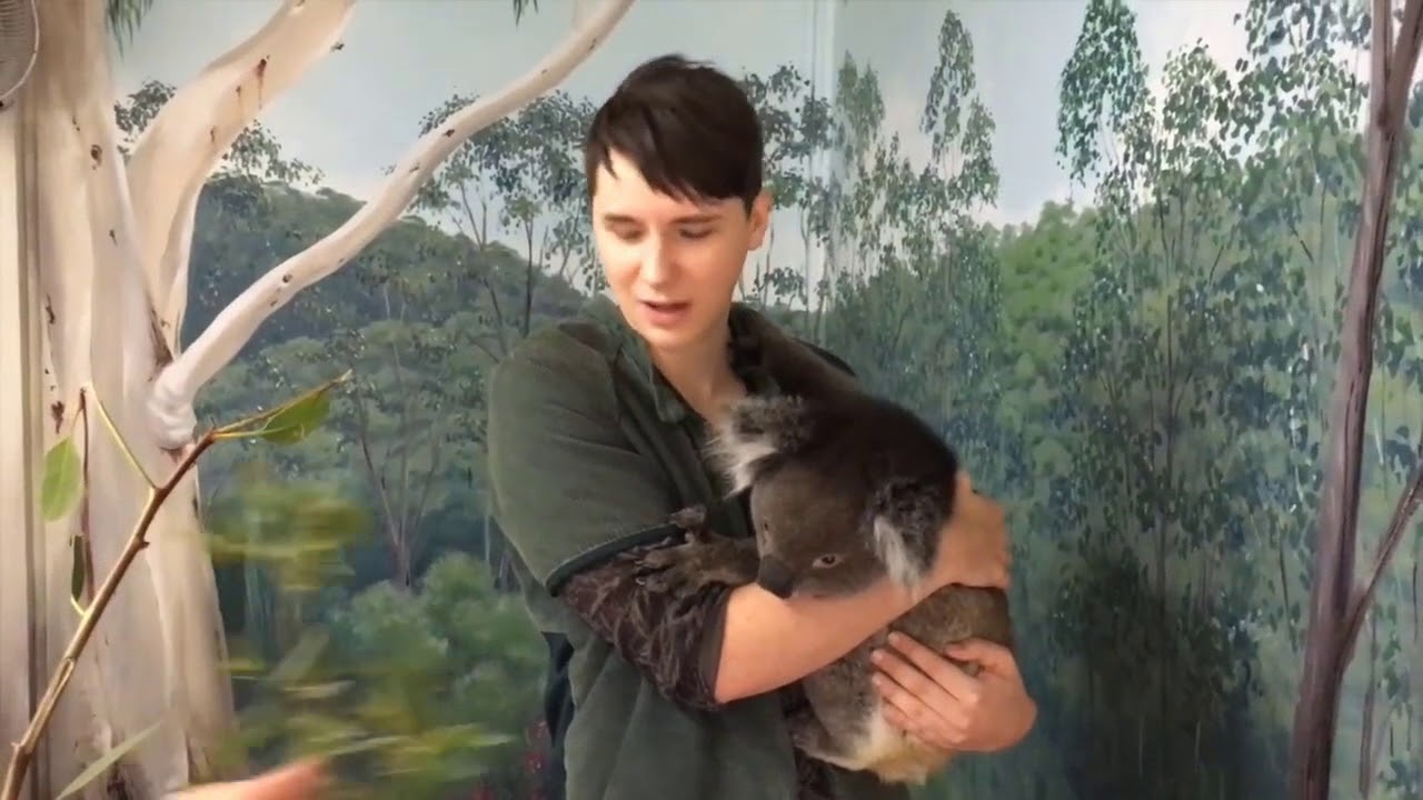 Dan Howell Saying "HELLO" To Cute Things - YouTube