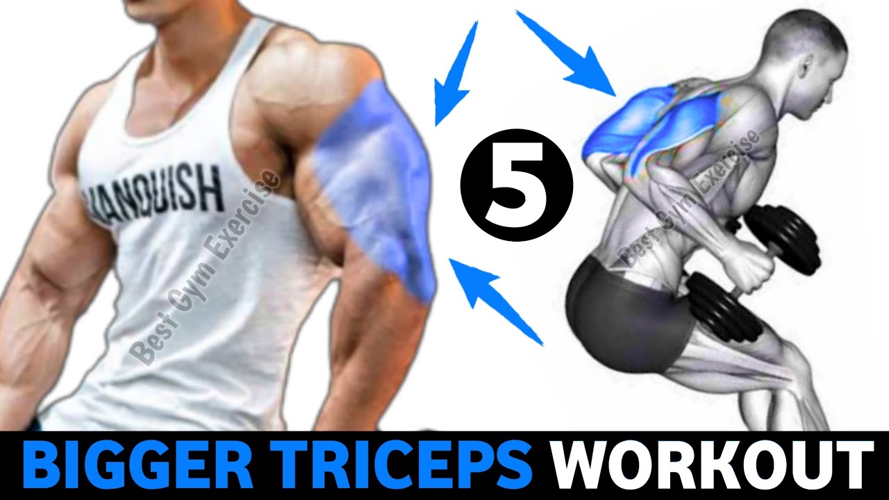 5 Best Exercises For Bigger Triceps Workout - YouTube