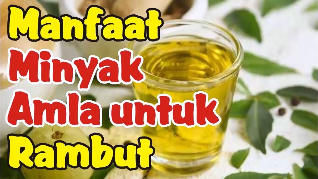 Manfaat Minyak Amla untuk Kesehatan Rambut - YouTube