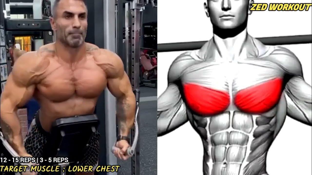 Top Best Chest Exercises To Build Big Chest Muscle | Chest Workout | Tricep & Workout - YouTube