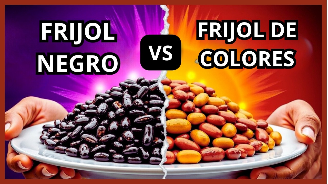 Frijol Normal o de Colores: ¿Cuál Es Mejor Para Tu Salud - YouTube