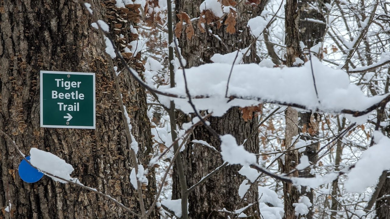 Hiking in the snow on Tiger beetle trail at Perkins farm Conservation ...