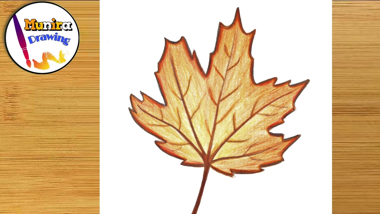 How to Draw Maple 🍁 Leaf easy step by step for beginners | Leaf drawing ...