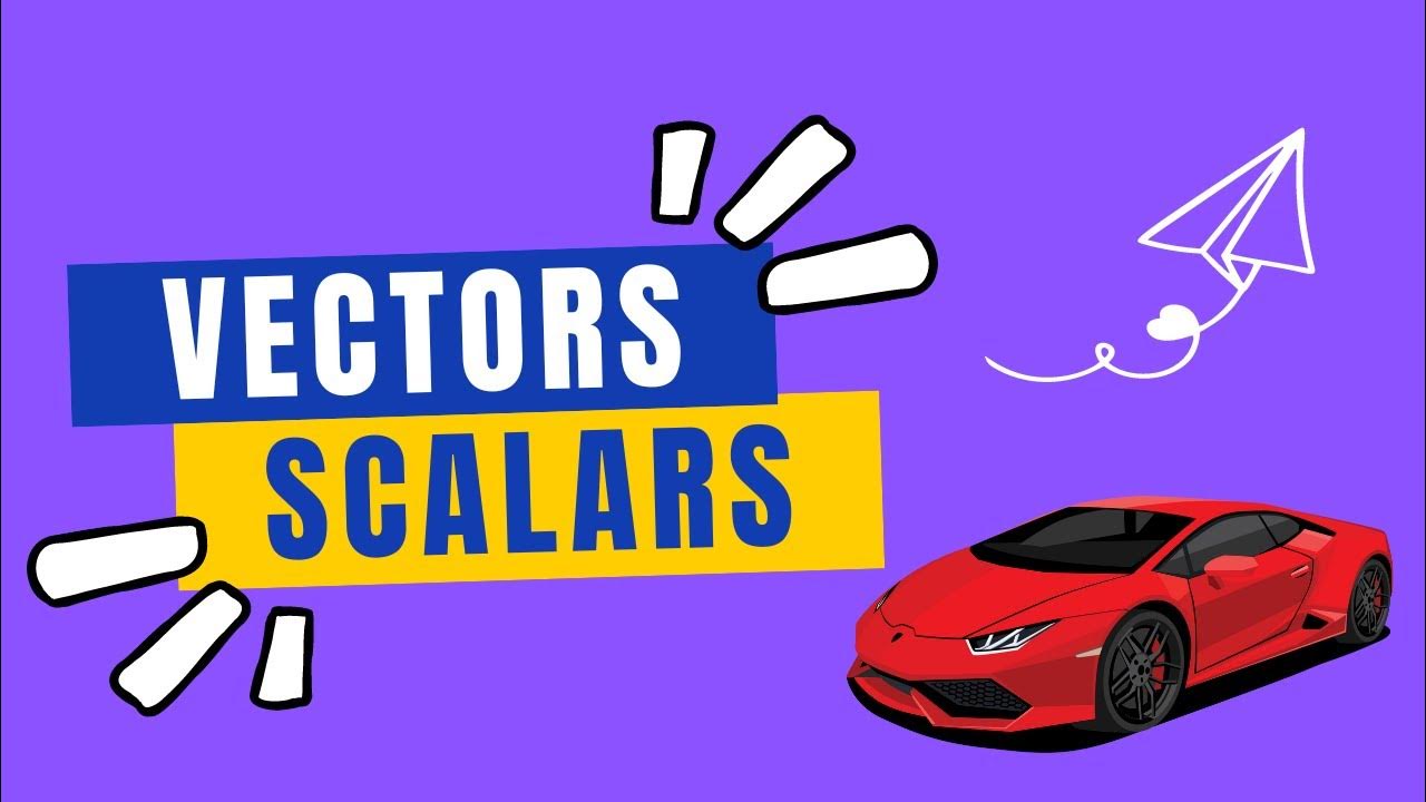 What are Vector and Scalar Quantities | Physics Animation - YouTube