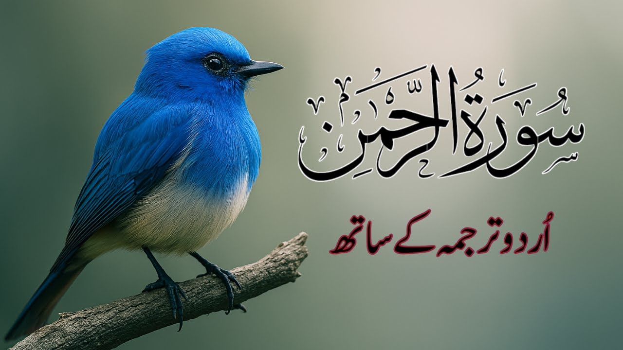 Surah Rahman | Surah Rahman with Urdu Translation | Al Furqan Studio ...